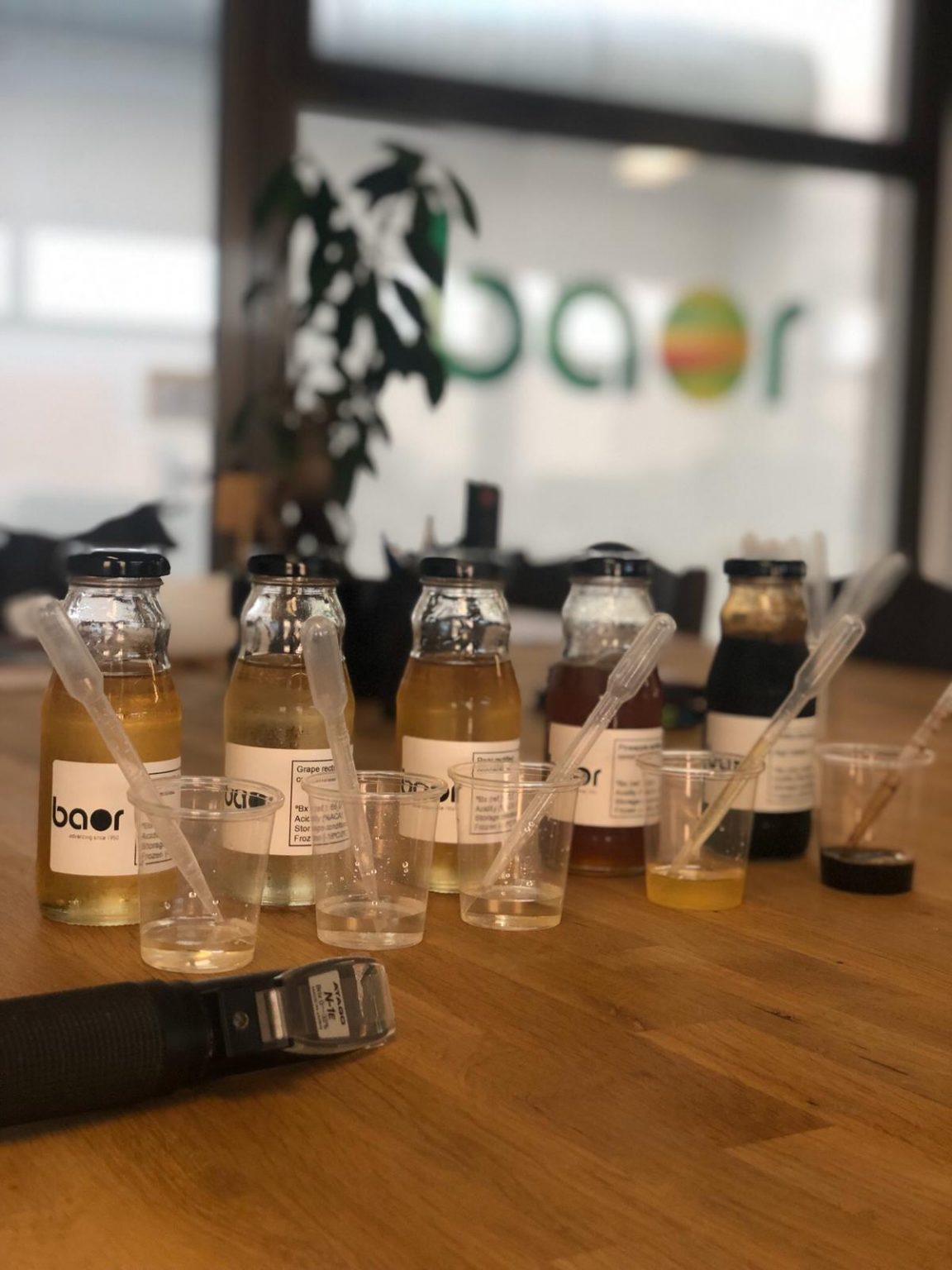 BAOR. Juices and concentrates | About Baor Products